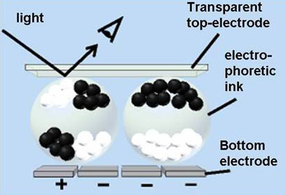 Electrophoretic Display