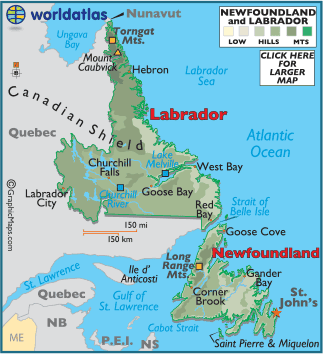 My World: Cot-Caught Merger in Newfoundland English