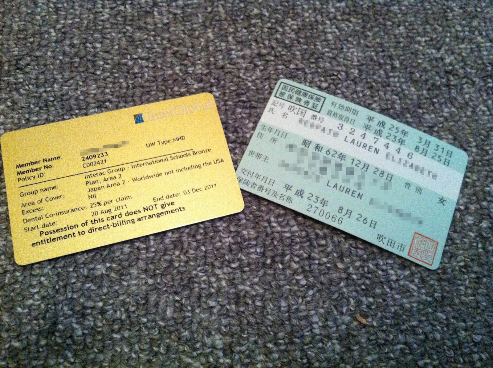 The Sushi Complex: 医療分 Insuring Japan