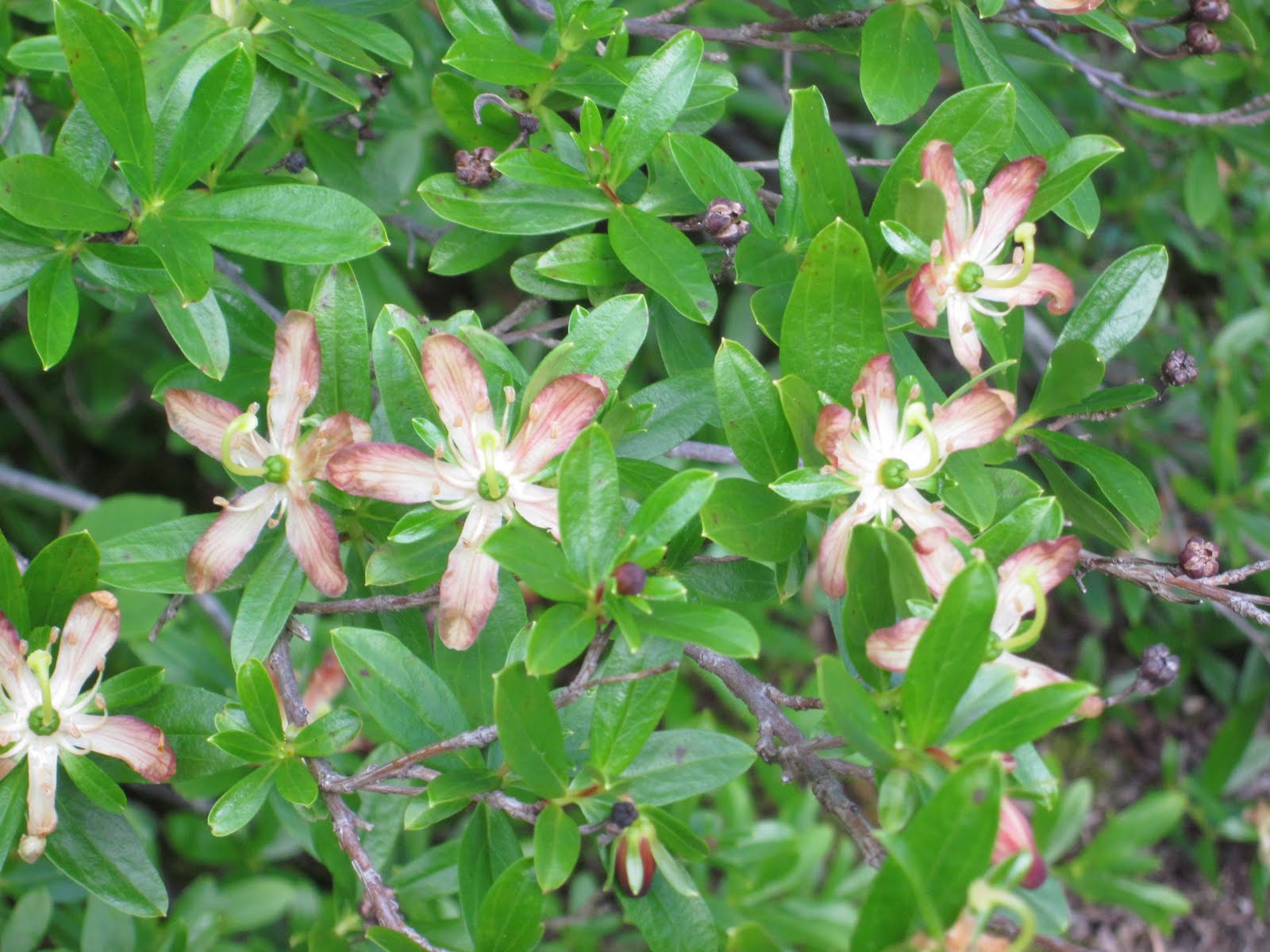 Nature's Playgrounds: Derrick Lake