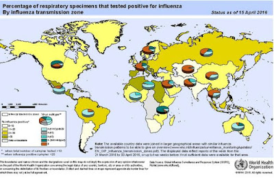 Avian Flu Diary: WHO Global Influenza Summary - April 18th