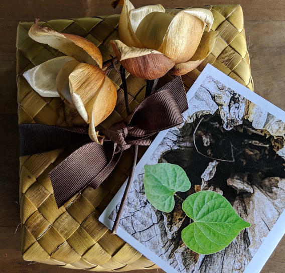 Inspired by Savannah: Give the Gift of Hala Tree Coffee This Valentine ...