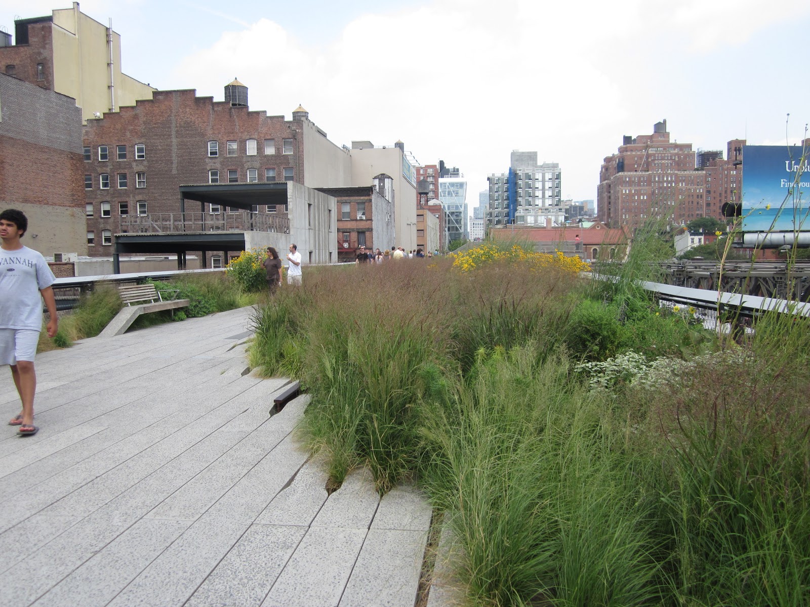 Dedicated to Buffalo: BUFFALO: Bottom-Up or Master Plan? A blog ...