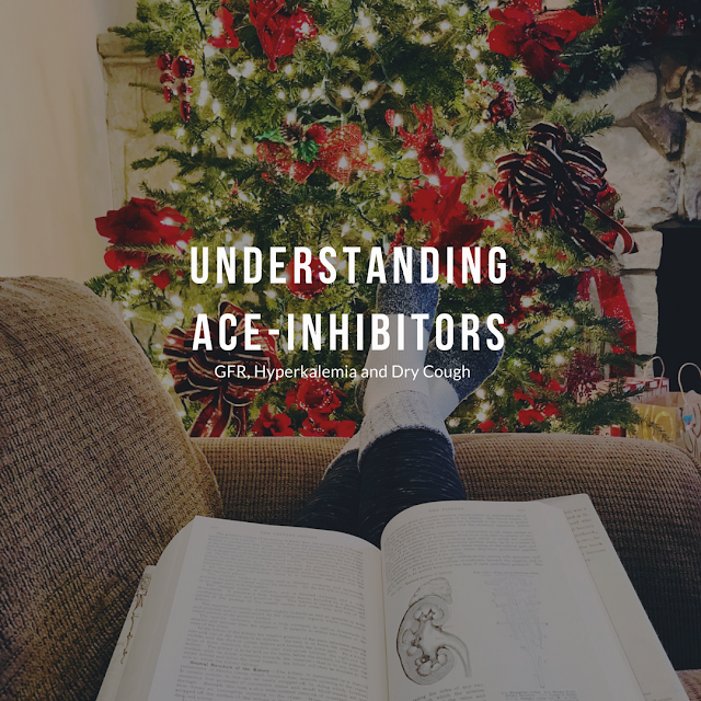 Understanding ACE-Inhibitors: The Mechanisms Behind Changes in GFR ...