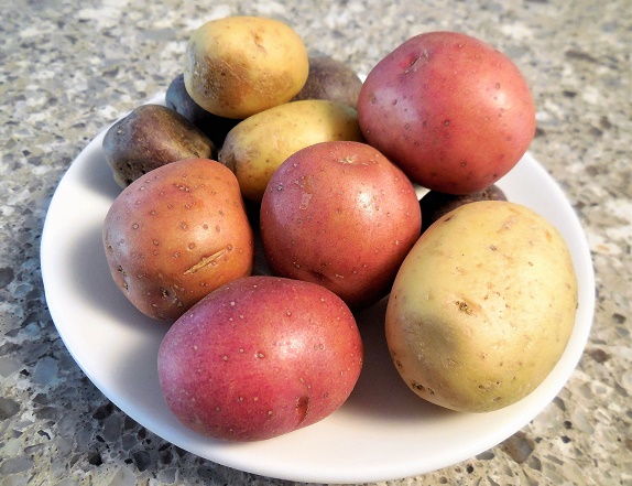 Terrific Trio Potato Saagu - Lemony Potato Gravy