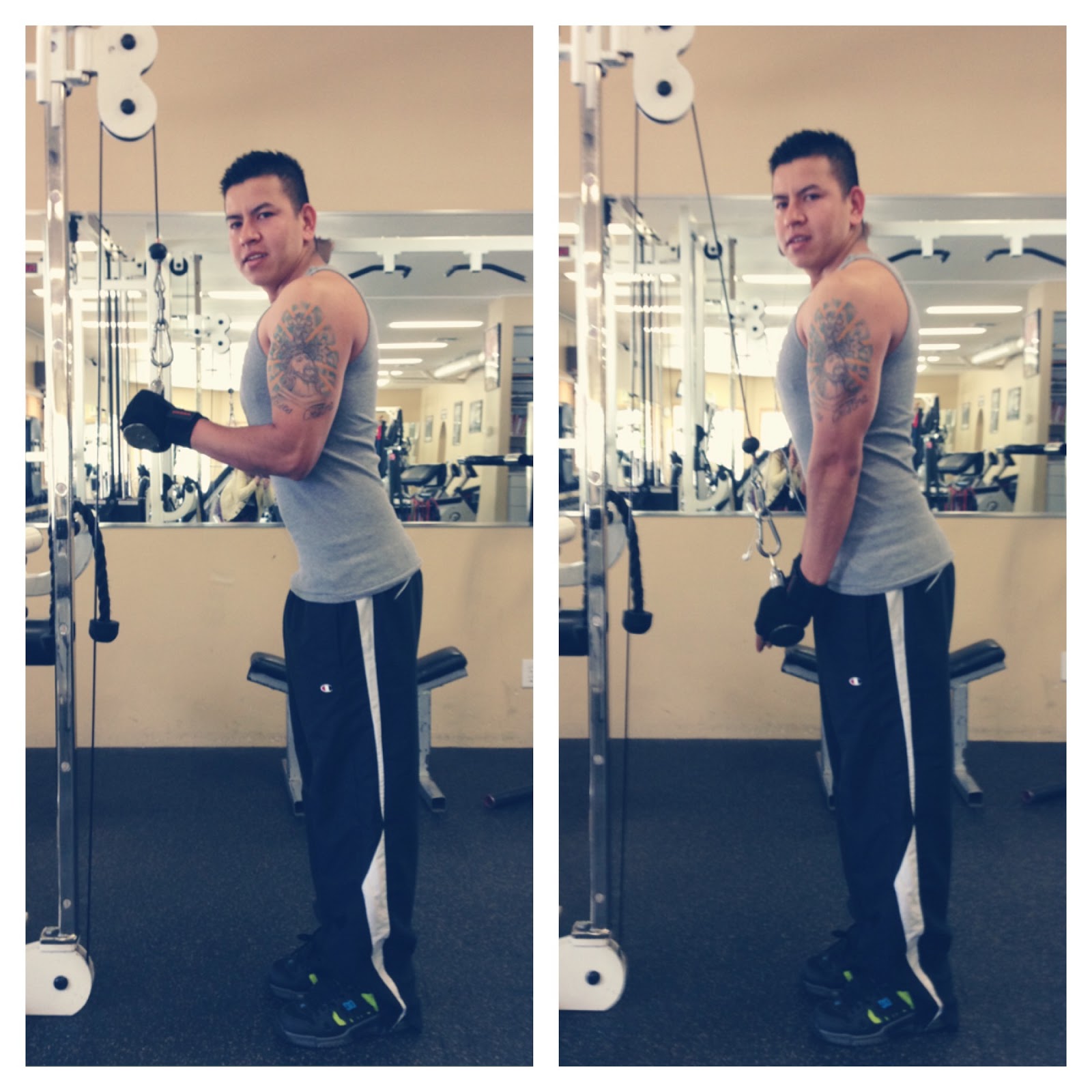 The Body Shop Gym: Biceps and Triceps toning