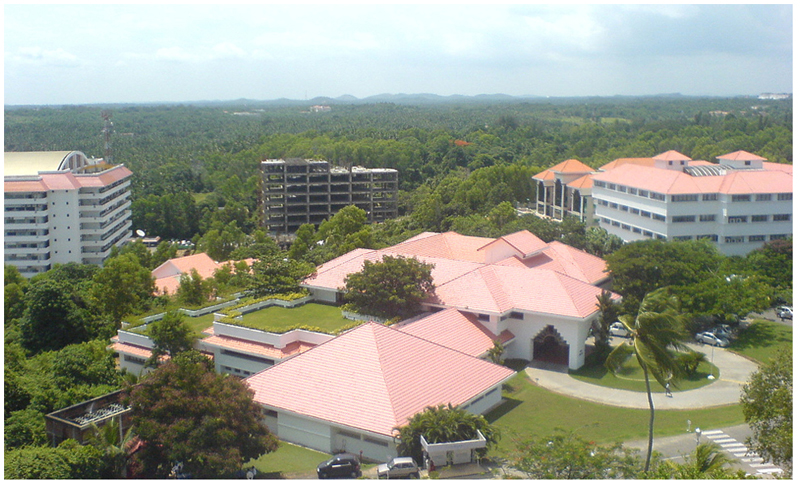 TCS ILP TRIVANDRUM EXPERIENCE 2015