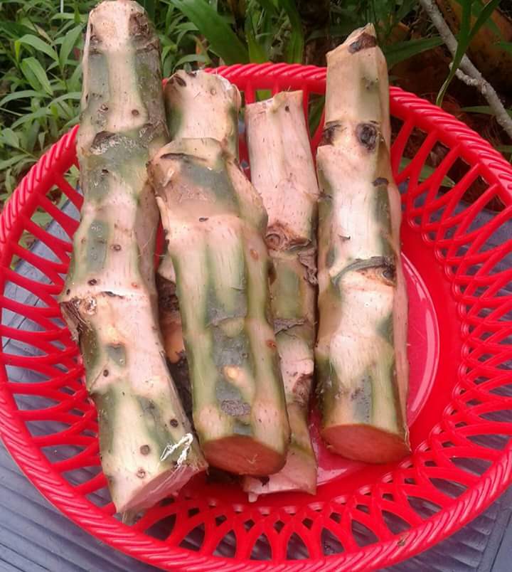 කොහිල බෝල්ස් කිරට Kohila balls ~ Sandy Foods | Sri Lanka