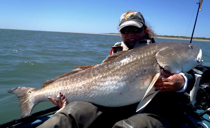 Big Fishes of the World: DRUM RED - REDFISH (Sciaenops ocellatus)