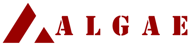 How to Start SQL Server Services in Multiple Ways? - Algae Education ...