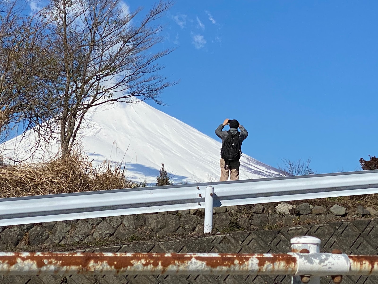 Our Adventures in Japan: tokyo-gotemba