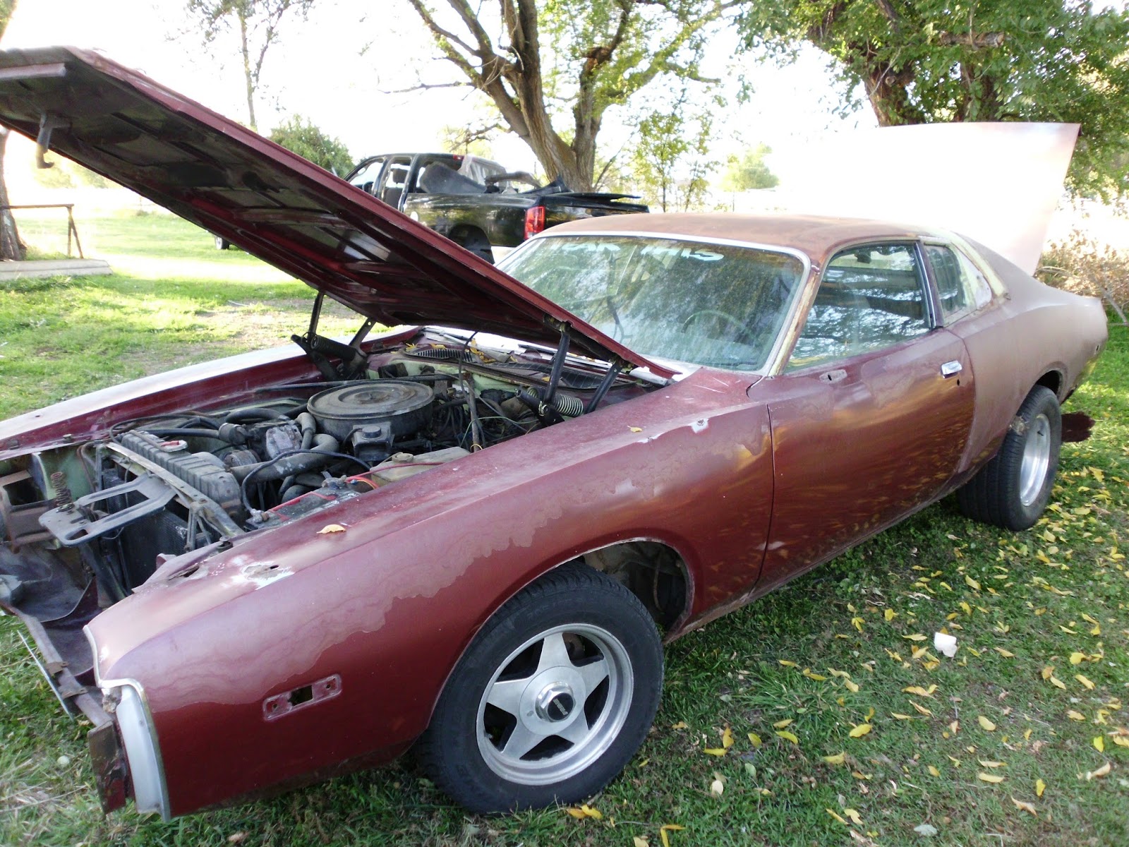 Jim's Art and Cars: One more rust bucket.