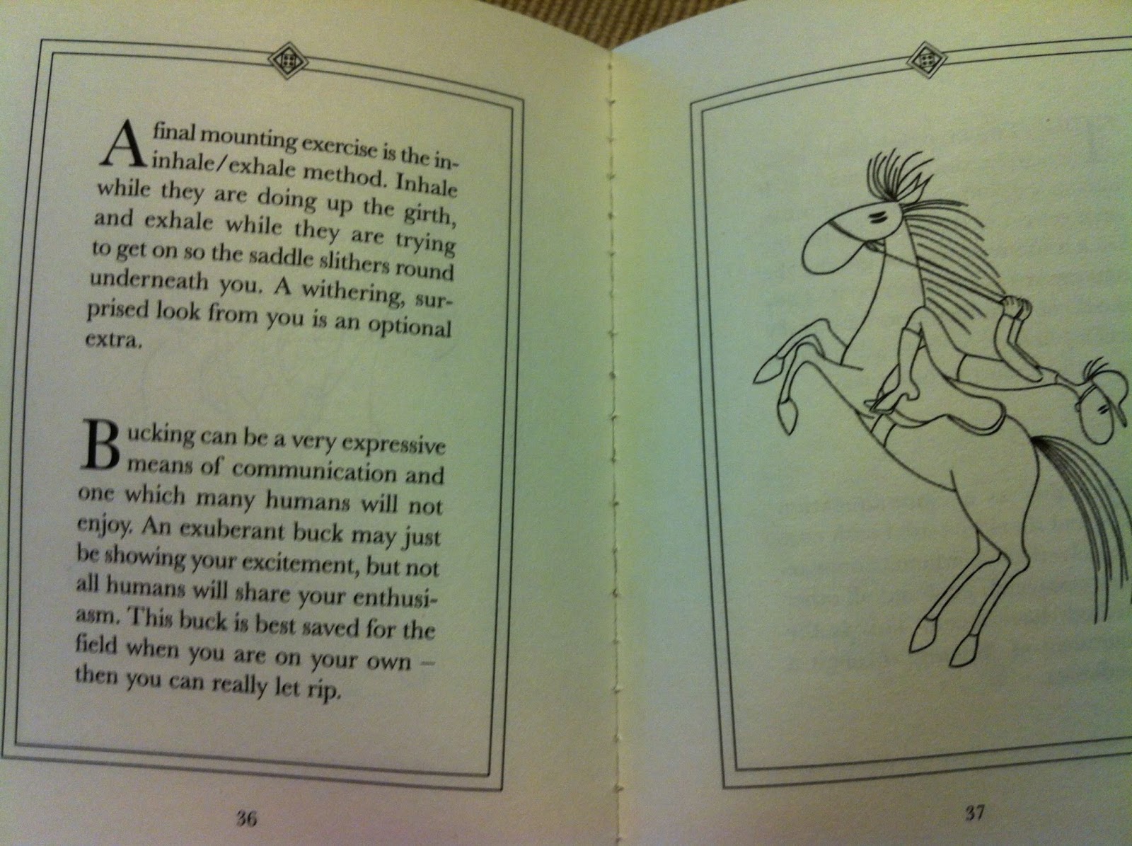 Roosa's Horsey Life: 30 Day Equestrian Challenge, Day #12