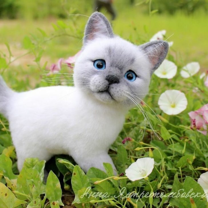 Super Realistic toys that look just like real animals!