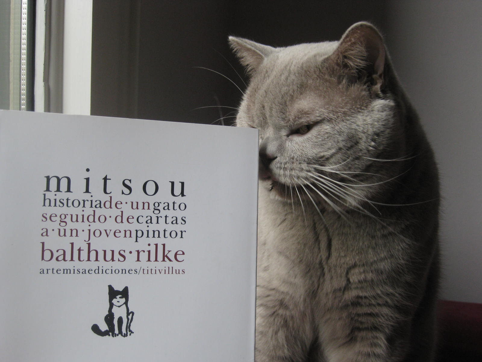 Cat Byron Lee: "Mitsou. Historia de un gato. Seguido de Cartas a un ...