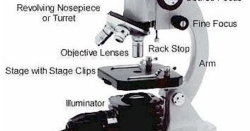 Science Inspiration: How does a Microscope Work?