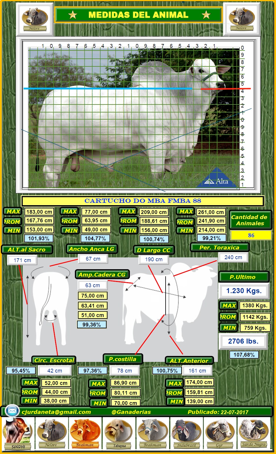CEBÚ ♥ ♥ ♥ ZEBÚ♔♕♖♗♘ LA PASIÓN POR EL #CEBÚ #ZEBU: CARTUCHO DO MBA FMBA ...