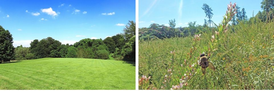 PA Environment Digest Blog: Learn More About DCNR’s Converting Your ...