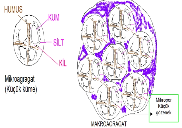 Tarım Siteniz: İdeal Toprak