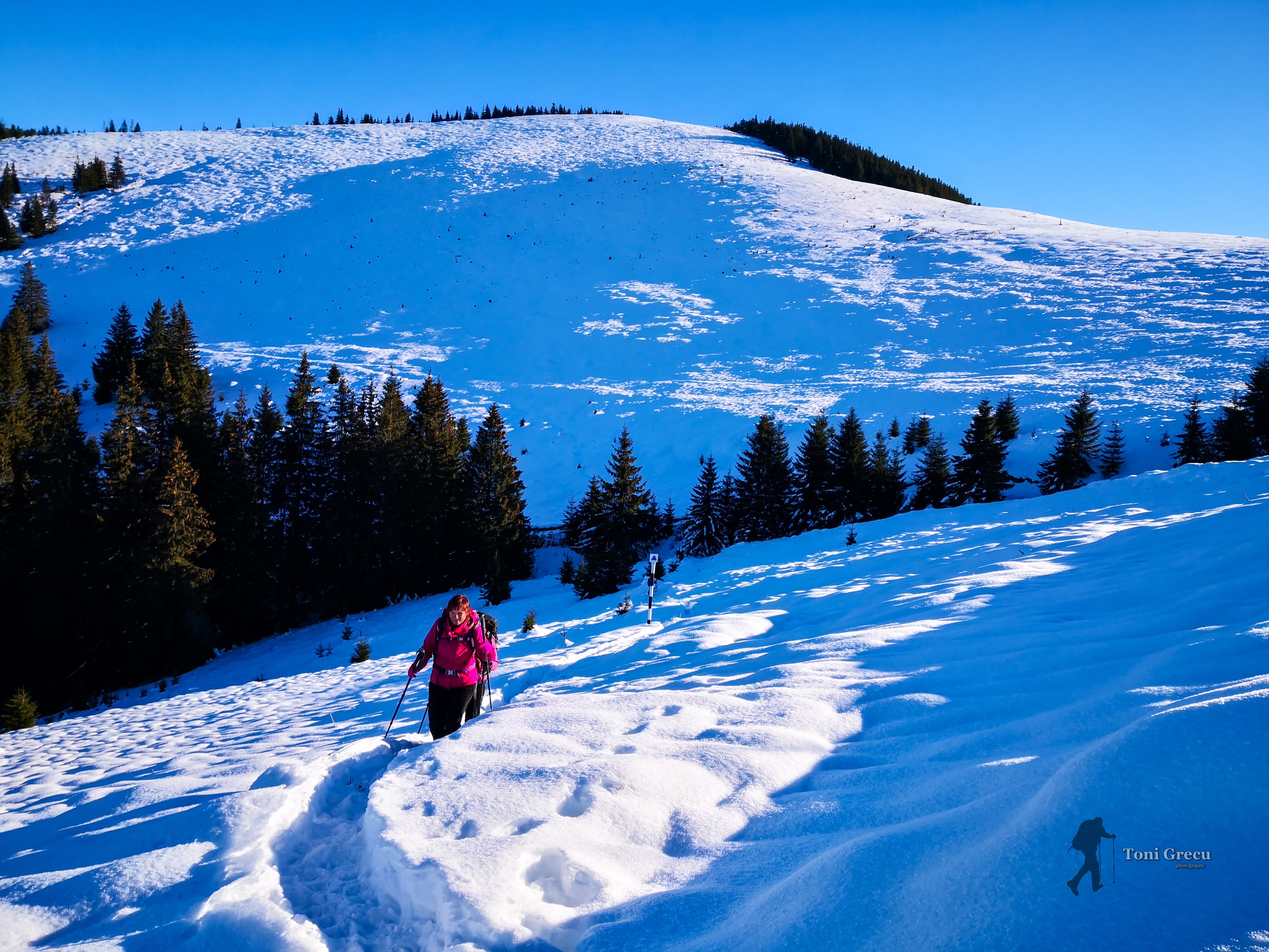 Varful Prejba - Cabana Prejba. Muntii Lotrului ~ Jurnal de drumeții