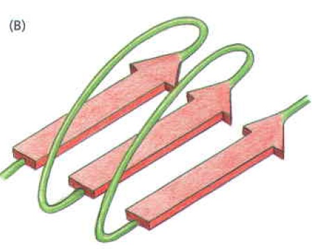 CSIR LIFE SCIENCE PREPARATION: Proteins
