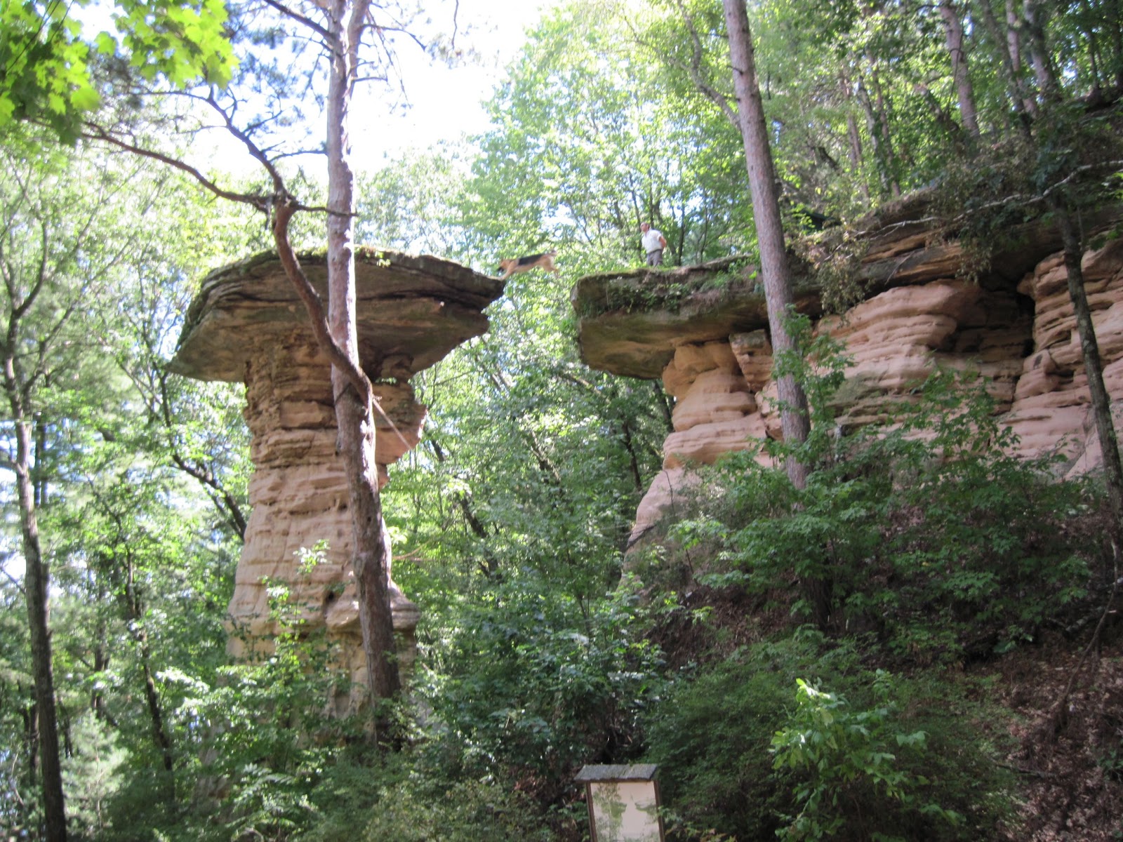 Travel Reviews & Information: Original Wisconsin Duck Tour and Upper ...