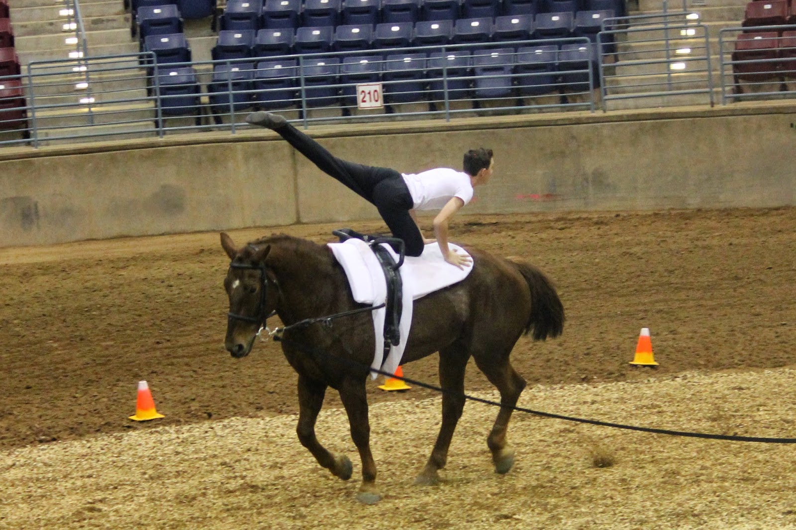 Technique Equestrian Vaulting Club: Regional Vaulting Competition in ...