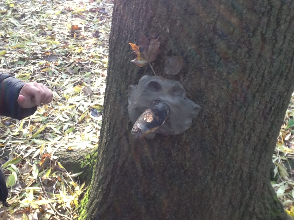 Welford Year 1: Tree Boggarts