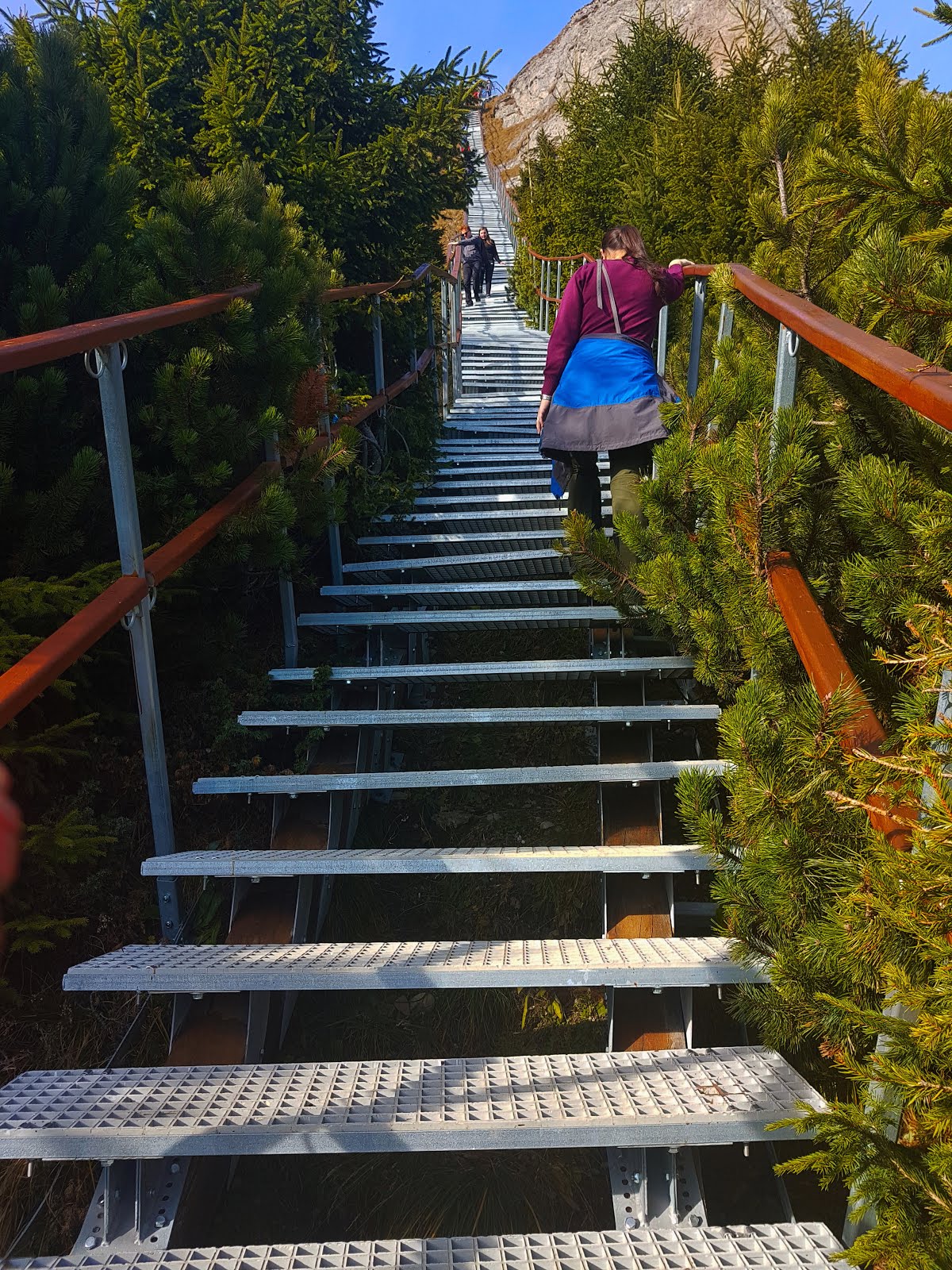 Romanian Tourism: Varful Toaca - Ceahlau