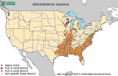 Virginia Tech Ichthyology Class : Questions about Pirate Perch ...