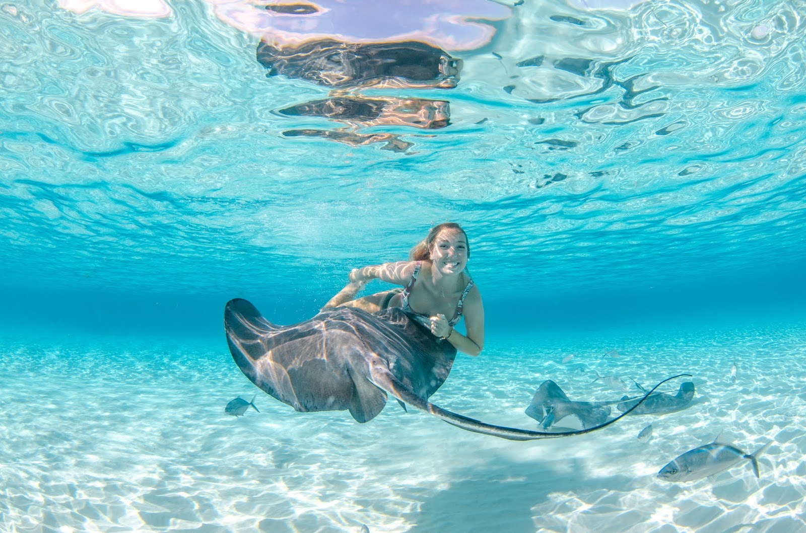 Alice Gostick: Things to do in Grand Cayman - Stingray Sandbar ...
