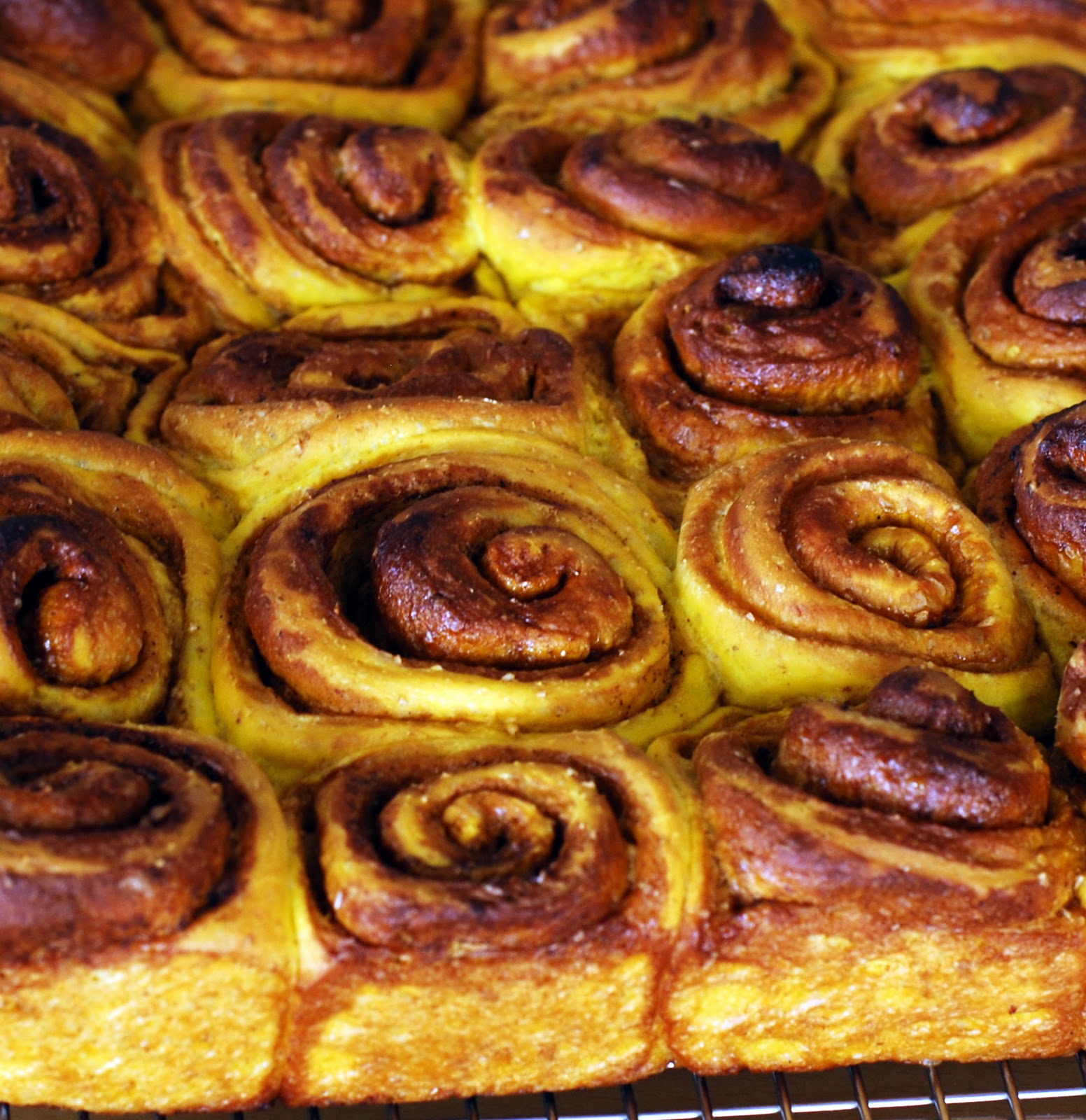 Thermolicious: Pumpkin Cinnamon Scrolls