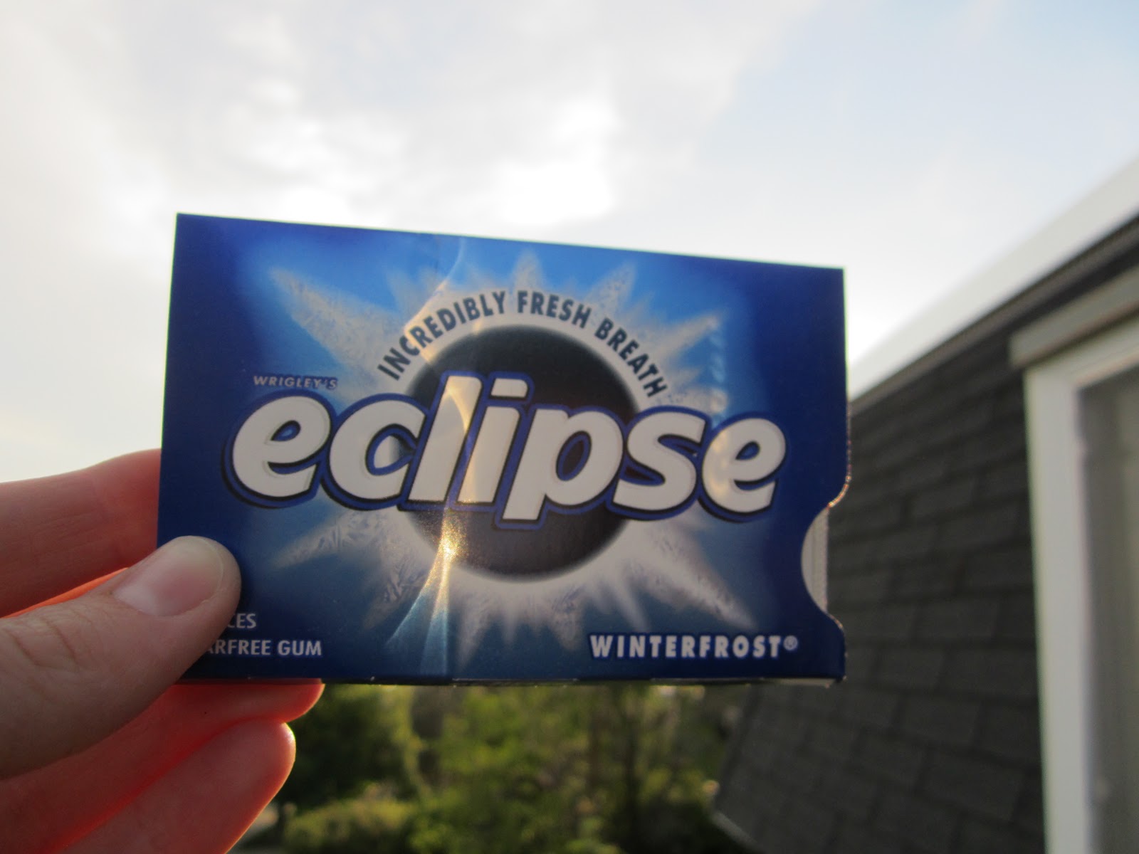 Our Beck Treks: Eclipse Ecstasy