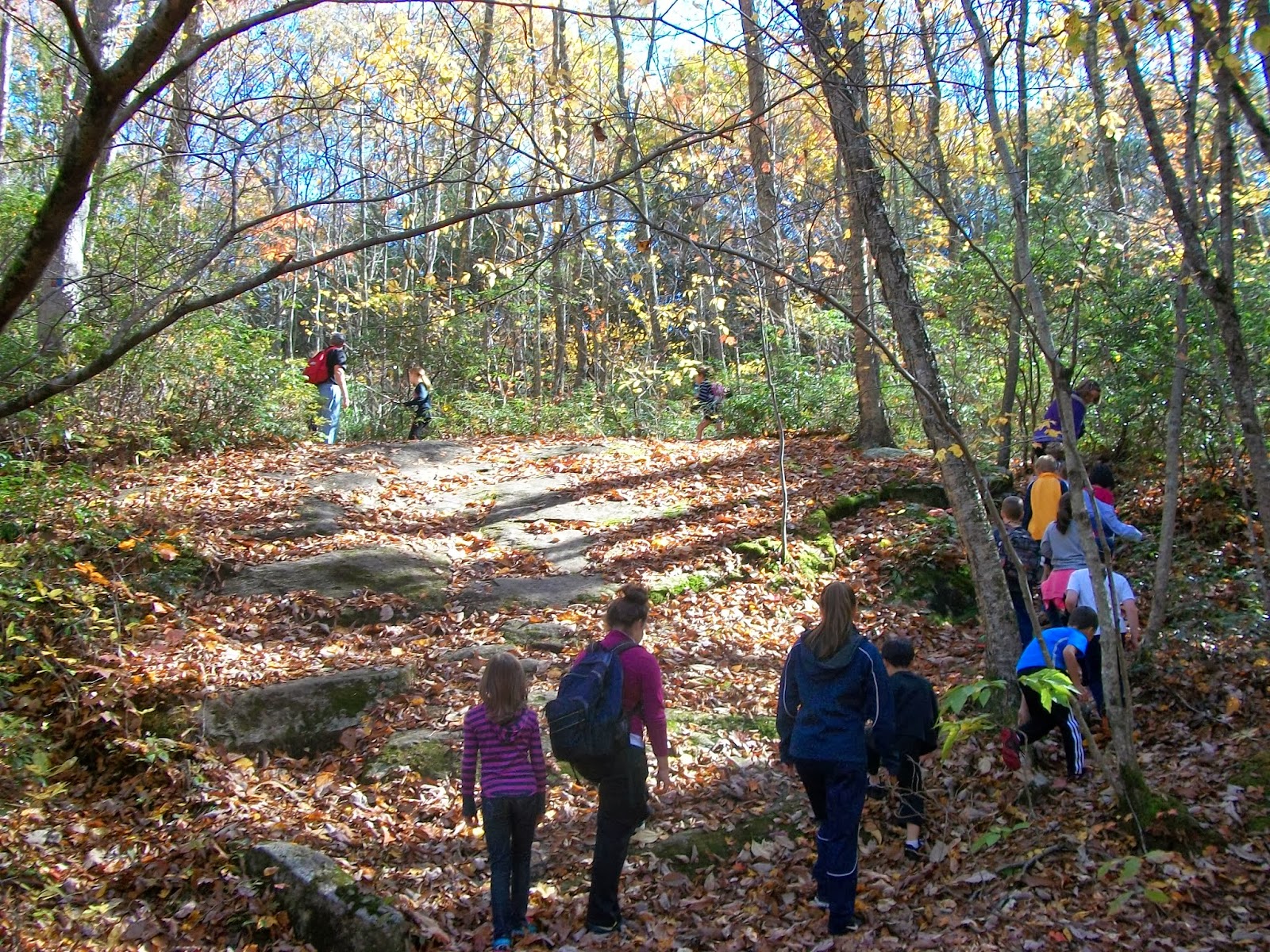 Third Grade Phenoms: Third Grade Hike Preview