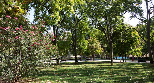 Espacios Plurales: Diferentes conceptos sobre parques urbanos