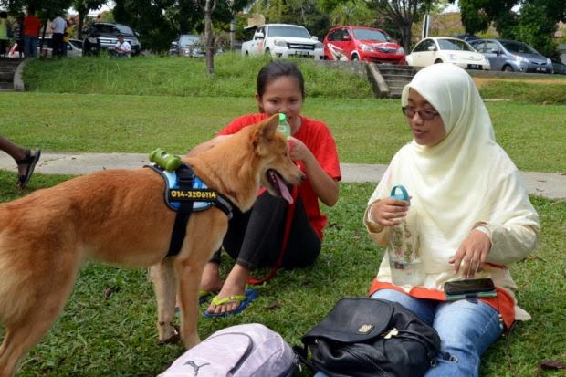 Koleksi Video Melayu Terbaik [HD]: Kempen Sentuh Anjing (I Want To ...