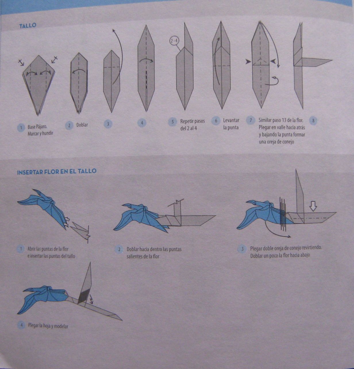 Origami Argentina Plegando Al Sur - Ruby Book Origami