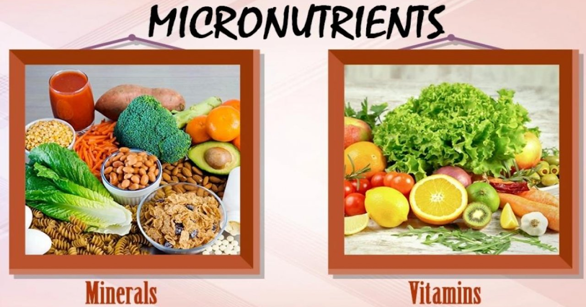 How Important are micronutrients? || Are you getting enough ...