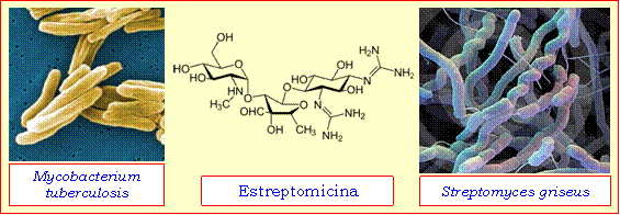 Agenda Química Virtual: ESTREPTOMICINA Y TUBERCULOSIS