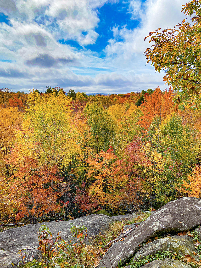 Hiking the North Country Trail Penokee to Beaver Lake