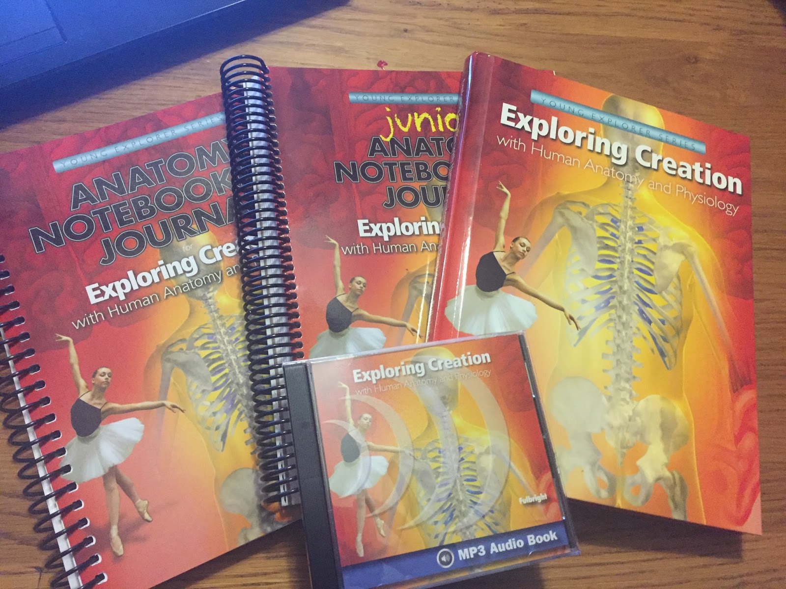 Mom of Many: Exploring Creation with Human Anatomy and Physiology from ...