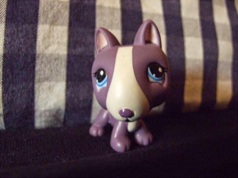 Centrum Littlest Pet Shop: 183. Top 15 ulubionych LPS