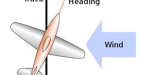 El vuelo de la Gran Avutarda
