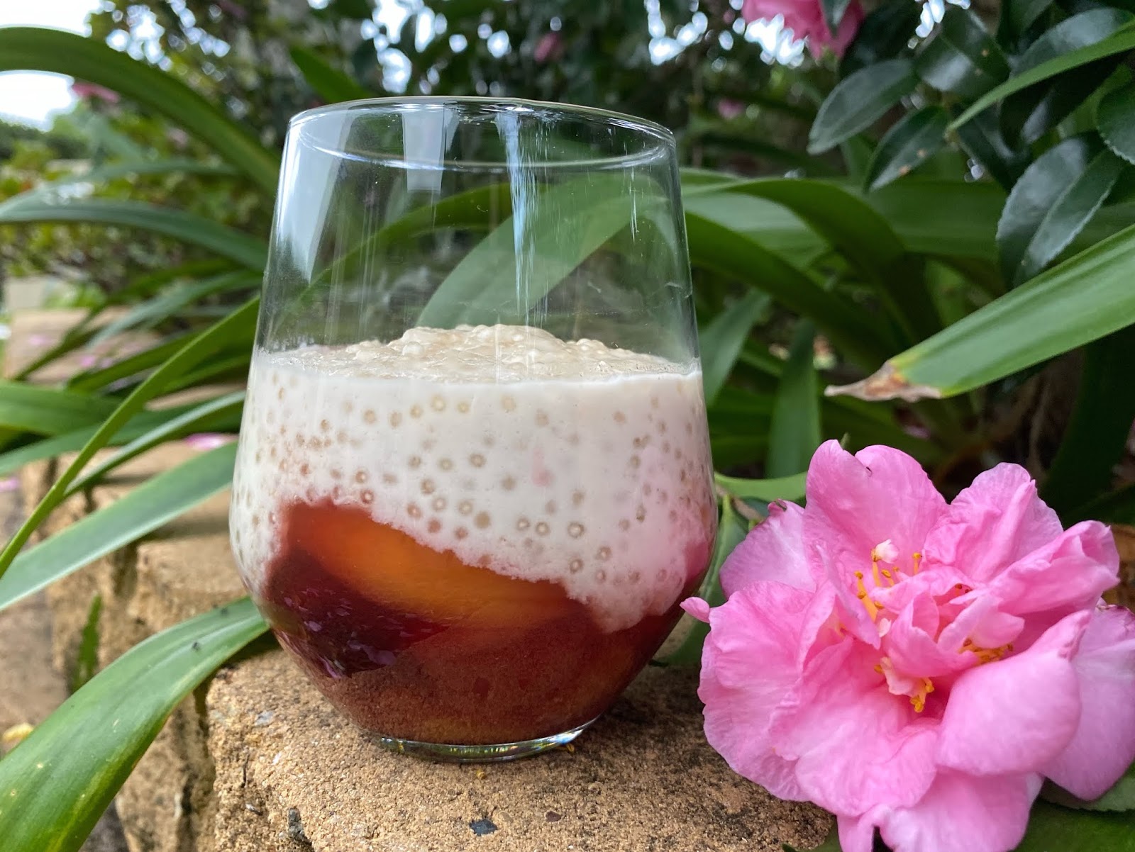 Tapioca Pudding with Stewed Peaches and Cherries