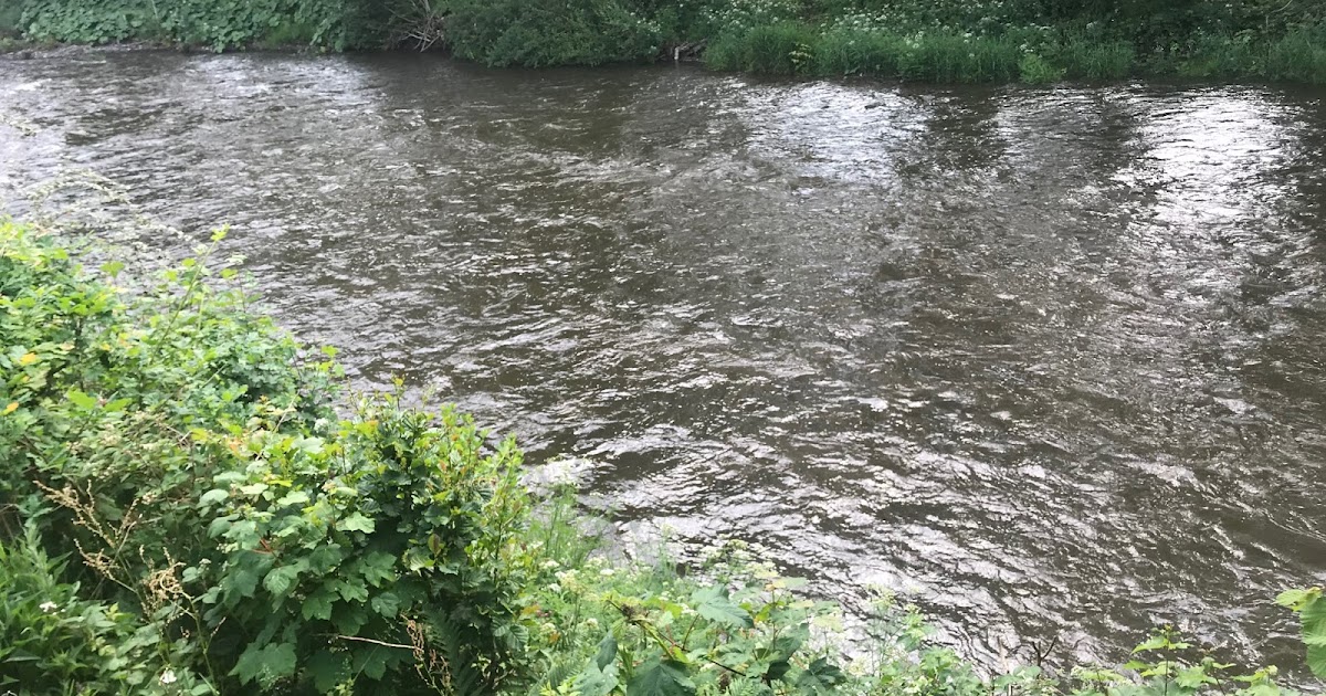 Daily River & Catch Reports