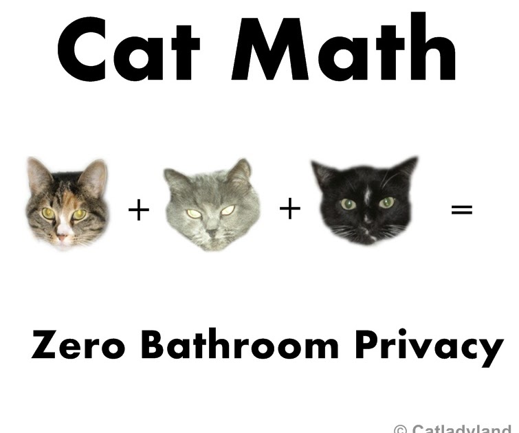 Catladyland: Cats are Funny: Cat Math