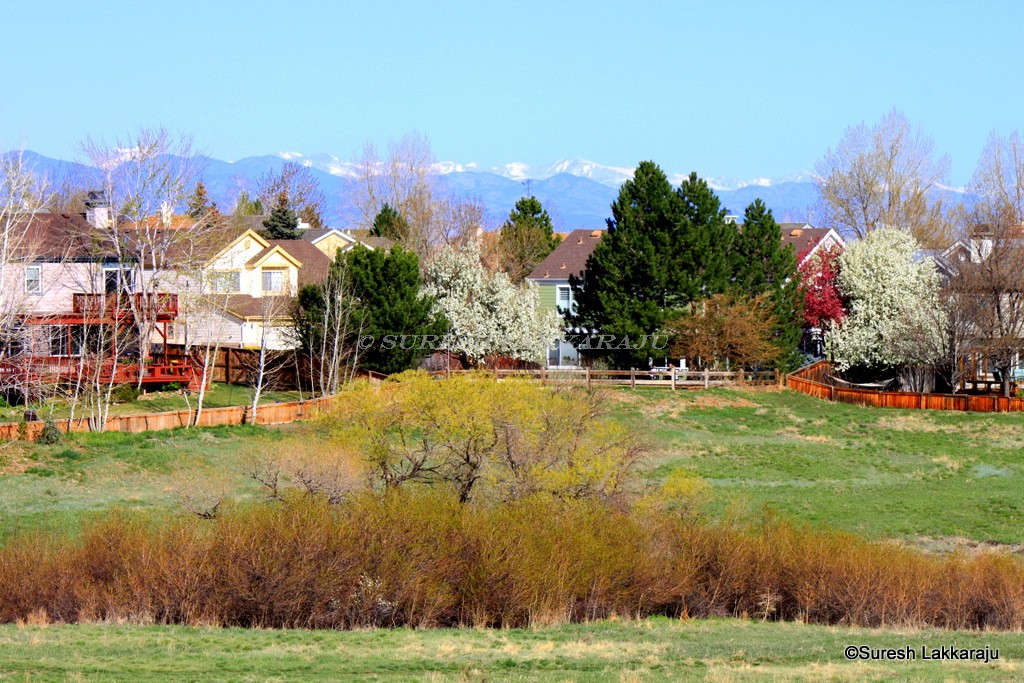 Reflections...: Spring Colors
