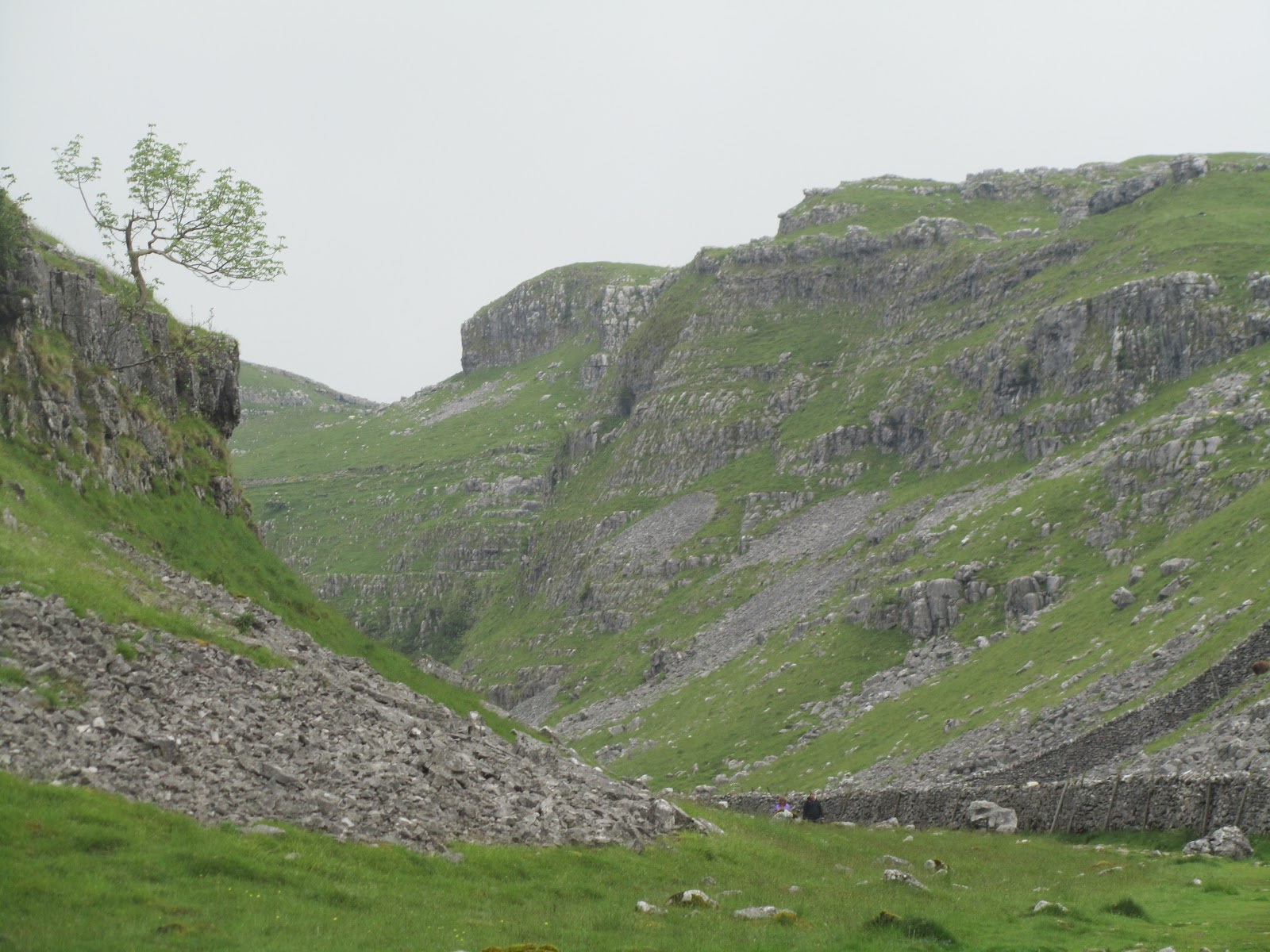 Little Sealed Packages: Limestone dry valley