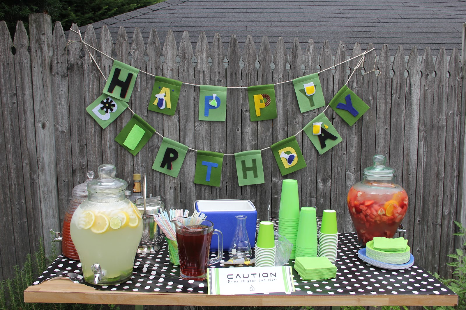 Welcome to Sillyville!!!: Science Invention Party!