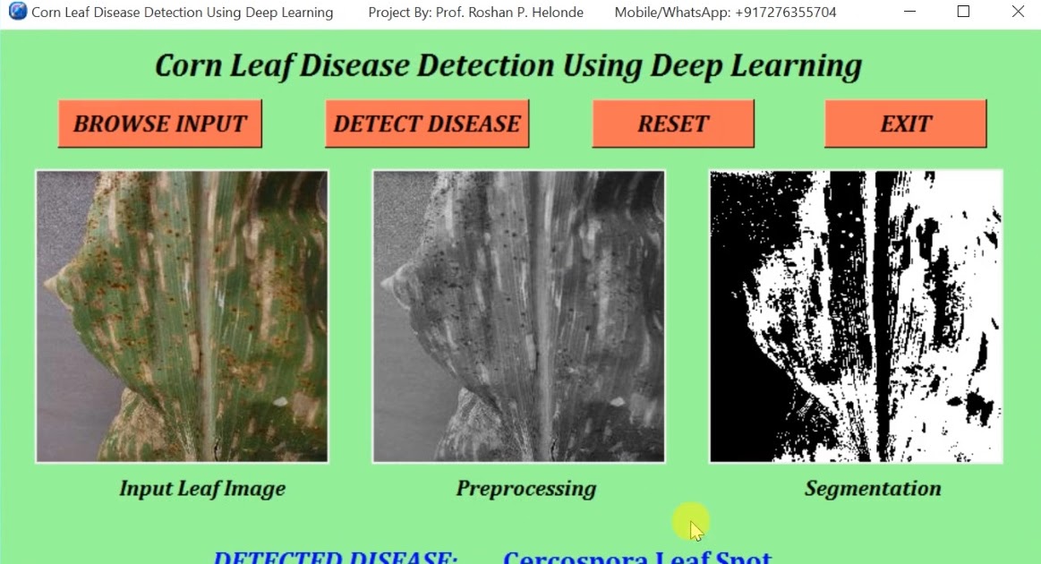Corn Leaf Disease Detection Using Deep Learning Python Project With